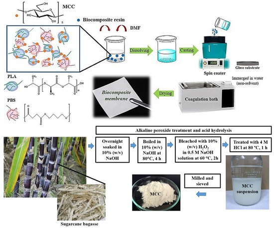 IJMS | Free Full-Text | Eco-Friendly Lithium Separators: A Frontier ...