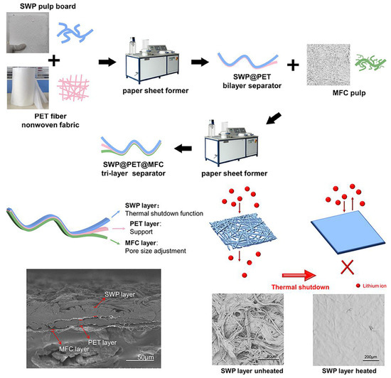 IJMS | Free Full-Text | Eco-Friendly Lithium Separators: A Frontier ...