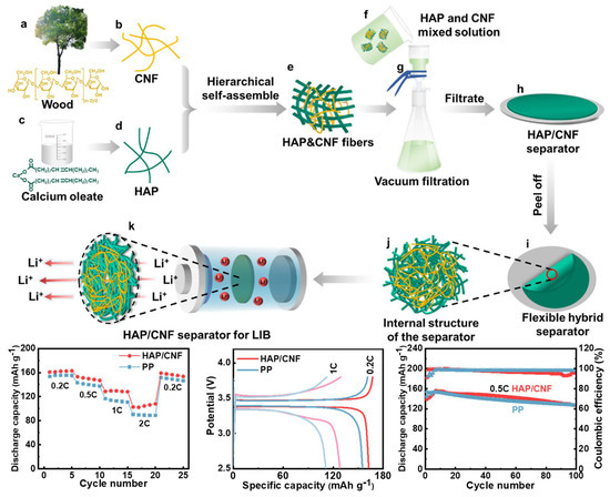 IJMS | Free Full-Text | Eco-Friendly Lithium Separators: A Frontier ...