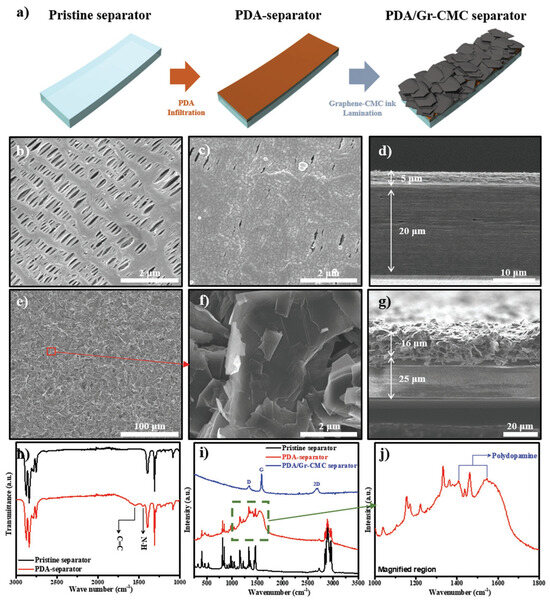 IJMS | Free Full-Text | Eco-Friendly Lithium Separators: A Frontier ...