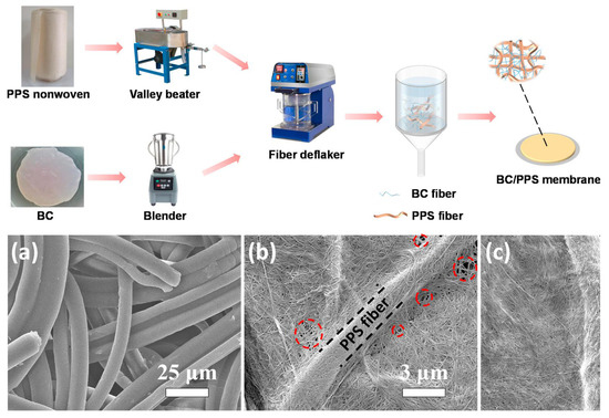IJMS | Free Full-Text | Eco-Friendly Lithium Separators: A Frontier ...