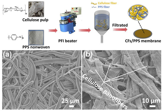 IJMS | Free Full-Text | Eco-Friendly Lithium Separators: A Frontier ...