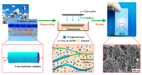 IJMS | Free Full-Text | Eco-Friendly Lithium Separators: A Frontier ...
