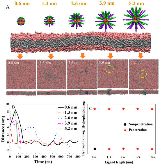 Design Principles for Smart Linear Polymer Ligand Carriers with ...