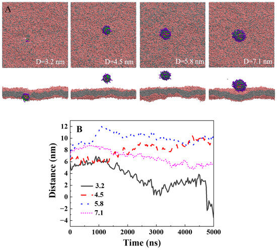Design Principles for Smart Linear Polymer Ligand Carriers with ...