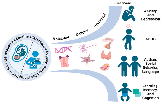 Regrettable Substitutes and the Brain: What Animal Models and Human ...