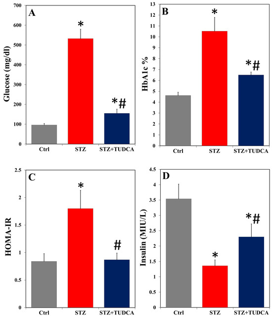 Tauroursodeoxycholic Acid (TUDCA) Relieves Streptozotocin (STZ)-Induced ...
