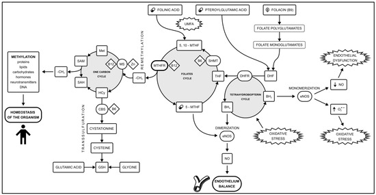 The Significance of Genetically Determined Methylation and Folate ...