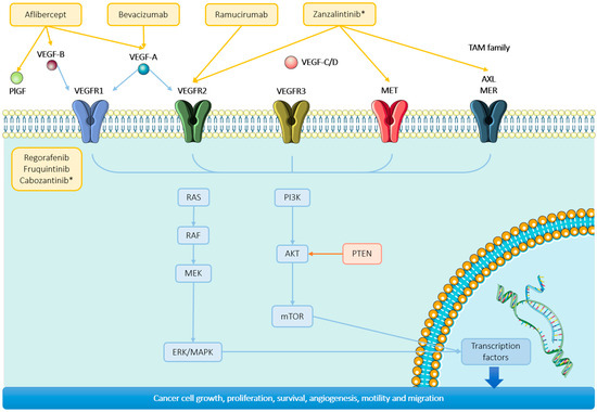 Current and Emerging Treatment Paradigms in Colorectal Cancer ...