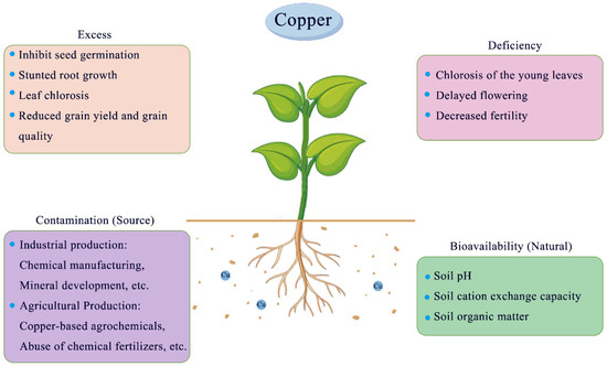 Molecular Mechanisms of Plant Responses to Copper: From Deficiency to ...