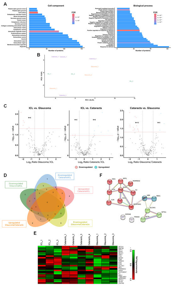 IJMS | Free Full-Text | Proteomics Analyses of Small Extracellular Vesicles of Aqueous Humor ...