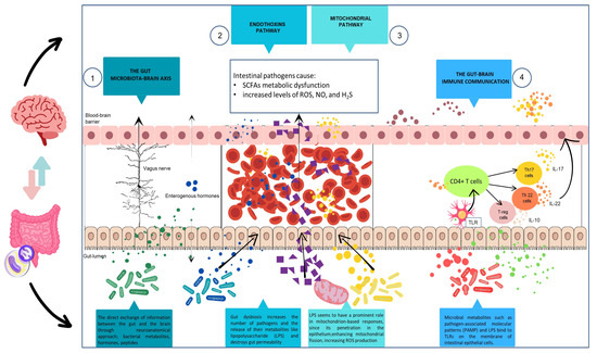 Metabolic Endotoxemia: From the Gut to Neurodegeneration