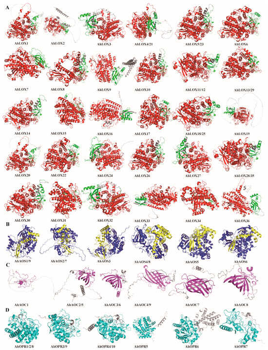 A Genome-Wide Analysis of the Jasmonic Acid Biosynthesis Gene Families ...