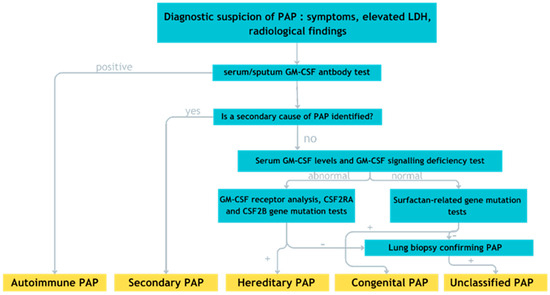A Comprehensive Outlook on Pulmonary Alveolar Proteinosis—A Review