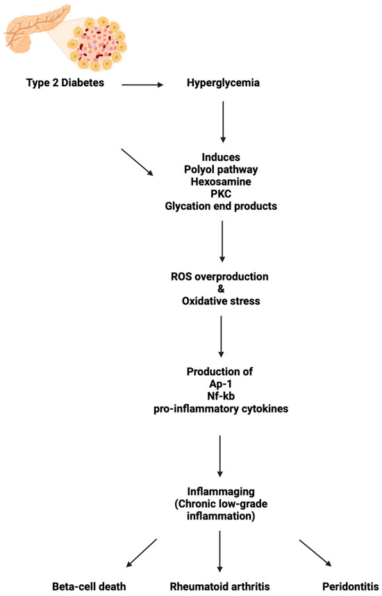 Pathology of Diabetes-Induced Immune Dysfunction