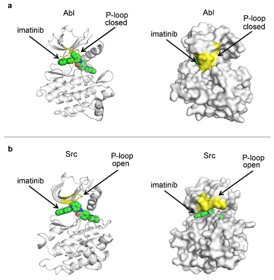 Binding Affinity Determination in Drug Design: Insights from Lock and ...