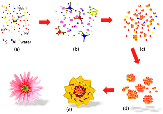 Special Issue “Design, Synthesis and Applications of Macroporous ...