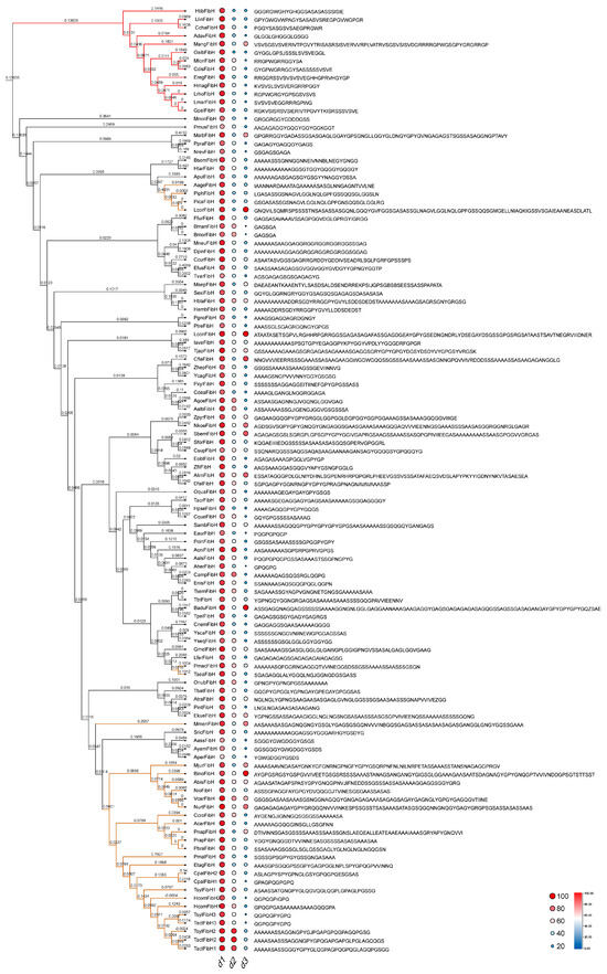 Overview and Evolution of Insect Fibroin Heavy Chain (FibH)