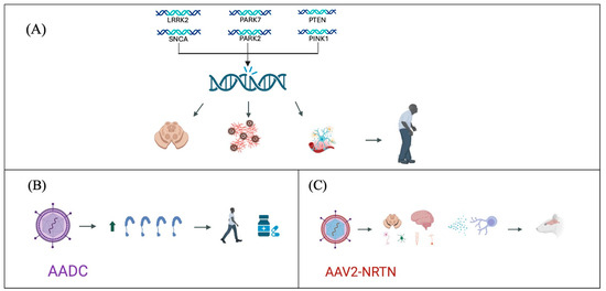 A Comprehensive Approach to Parkinson’s Disease: Addressing Its ...