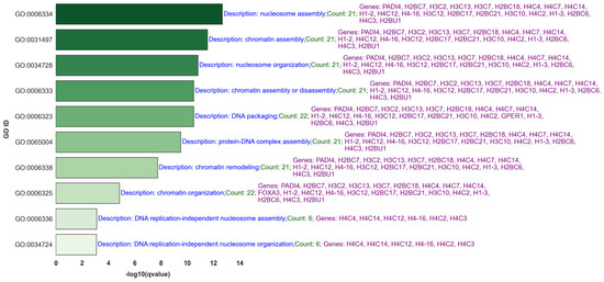 Identifying Key Genes Involved in Axillary Lymph Node Metastasis in ...