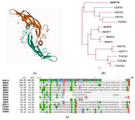 Macrophages as a Source and Target of GDF-15