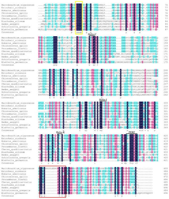Functional Study of the Role of the Methyl Farnesoate Epoxidase Gene in ...