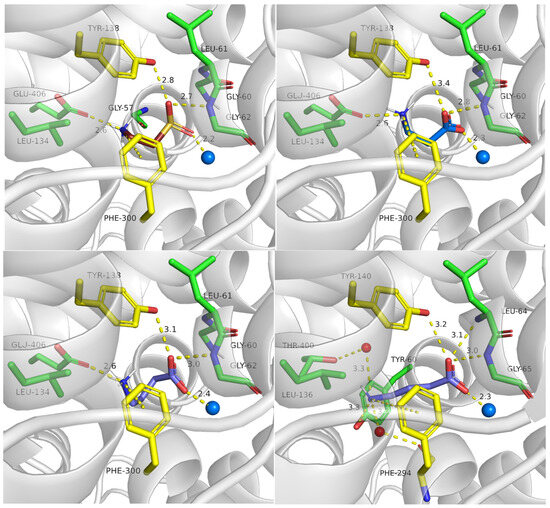 Structural Studies of the Taurine Transporter: A Potential Biological ...