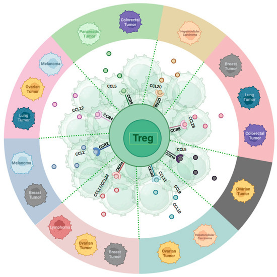 Complex Role of Regulatory T Cells (Tregs) in the Tumor ...