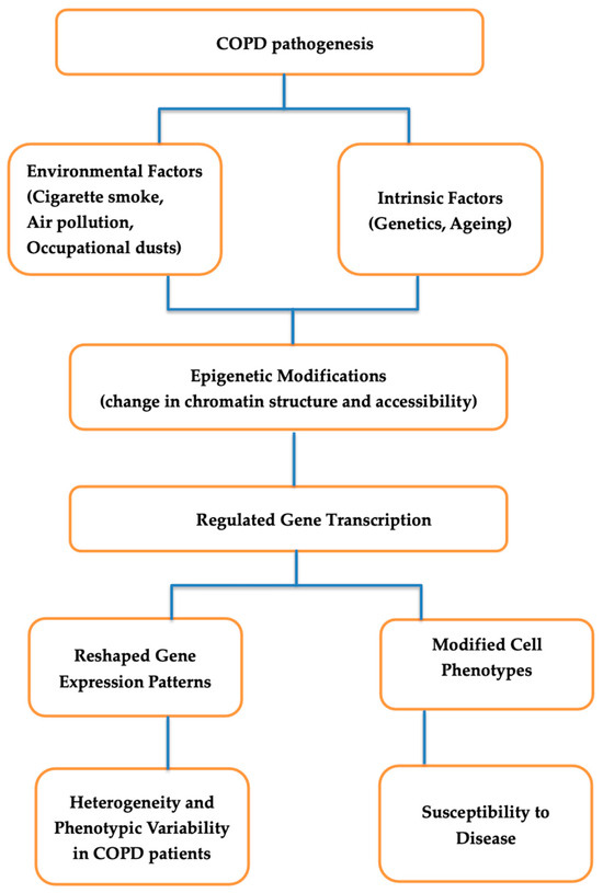 Exploring Molecular Mechanisms and Biomarkers in COPD: An Overview of ...