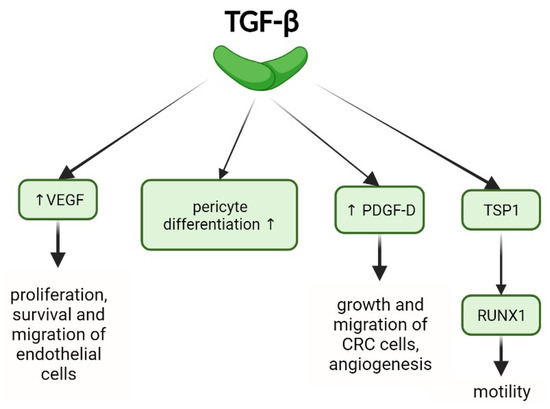TGF-β Modulated Pathways in Colorectal Cancer: New Potential ...