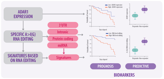 ADAR-Mediated A>I(G) RNA Editing in the Genotoxic Drug Response of ...