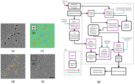 The GoldX Fiducial Eraser
