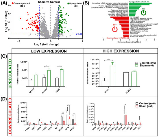 IJMS | Free Full-Text | Comparative Brain Proteomic Analysis between ...