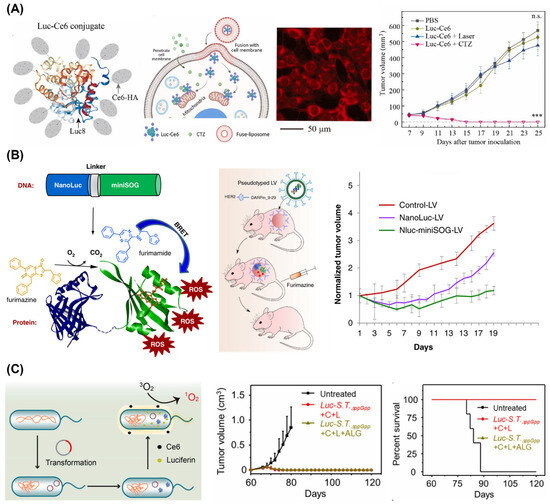Bioluminescent Systems for Theranostic Applications