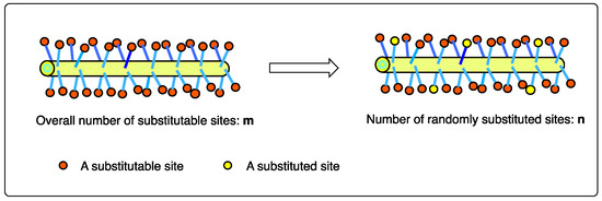 Single-Molecule Mixture: A Concept in Polymer Science