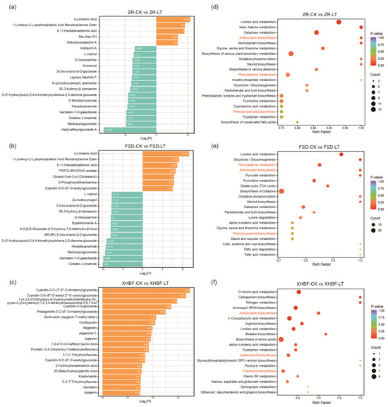 Integrated Metabolomics and Transcriptomics Reveal the Key Role of ...
