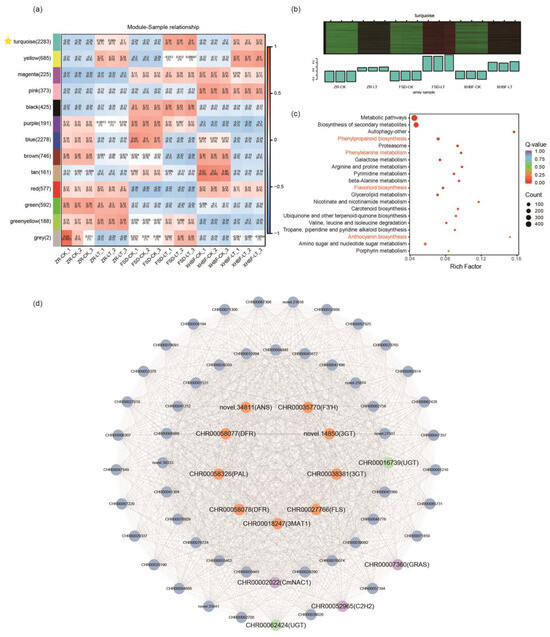 Integrated Metabolomics and Transcriptomics Reveal the Key Role of ...