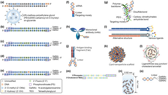 Delivery Strategies of siRNA Therapeutics for Hair Loss Therapy