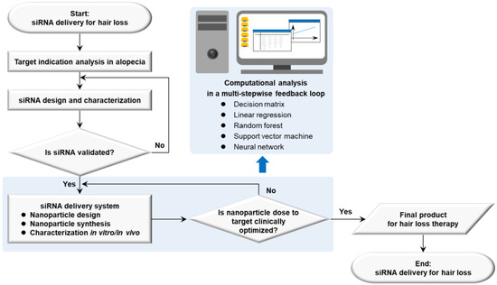 Delivery Strategies of siRNA Therapeutics for Hair Loss Therapy