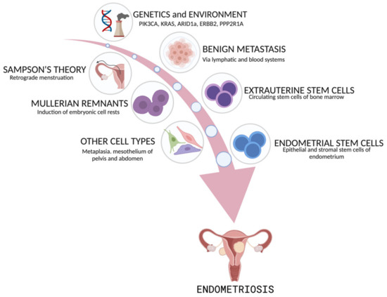 Pathogenesis of Endometriosis and Endometriosis-Associated Cancers