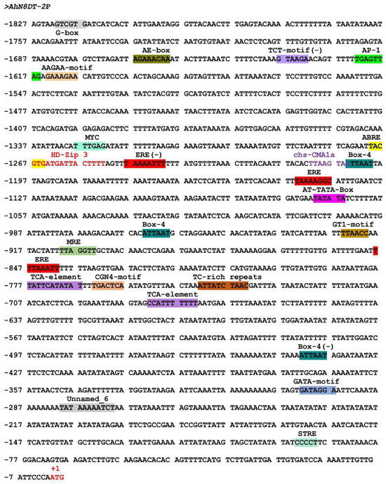 Molecular Cloning and Functional Identification of a Pericarp- and ...
