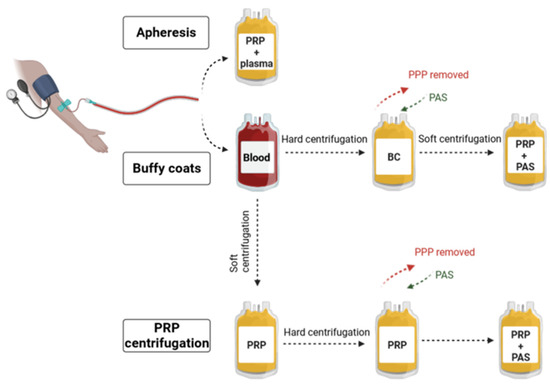 Platelet Storage—Problems, Improvements, and New Perspectives