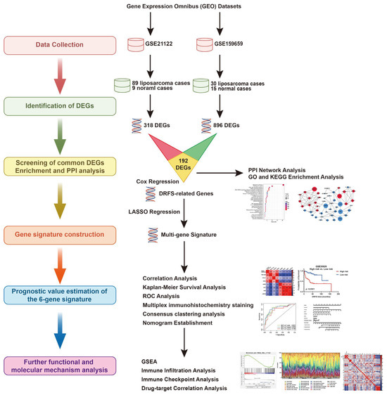 Comprehensive Analysis of a Six-Gene Signature Predicting Survival and ...