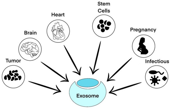 Clinical Applications of Exosomes: A Critical Review