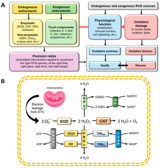 The Interplay between Endogenous and Foodborne Pro-Oxidants and ...