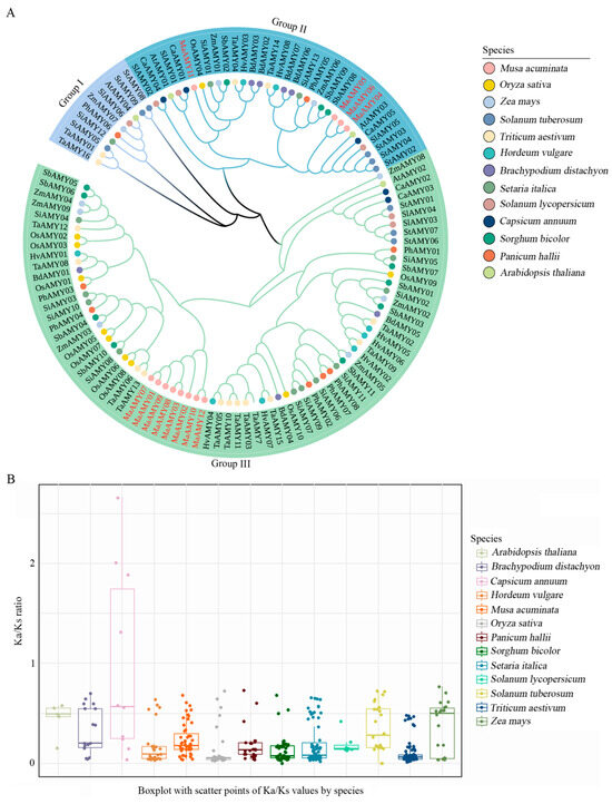 Molecular Characteristics and Functional Identification of a Key Alpha ...