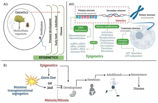 Revisiting Epigenetics Fundamentals and Its Biomedical Implications