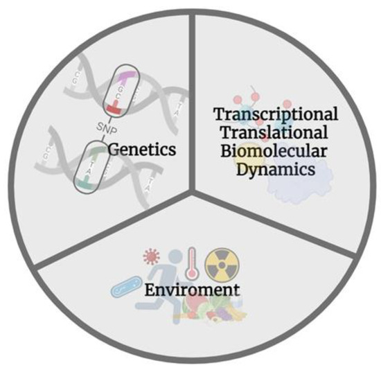 Revisiting Epigenetics Fundamentals and Its Biomedical Implications