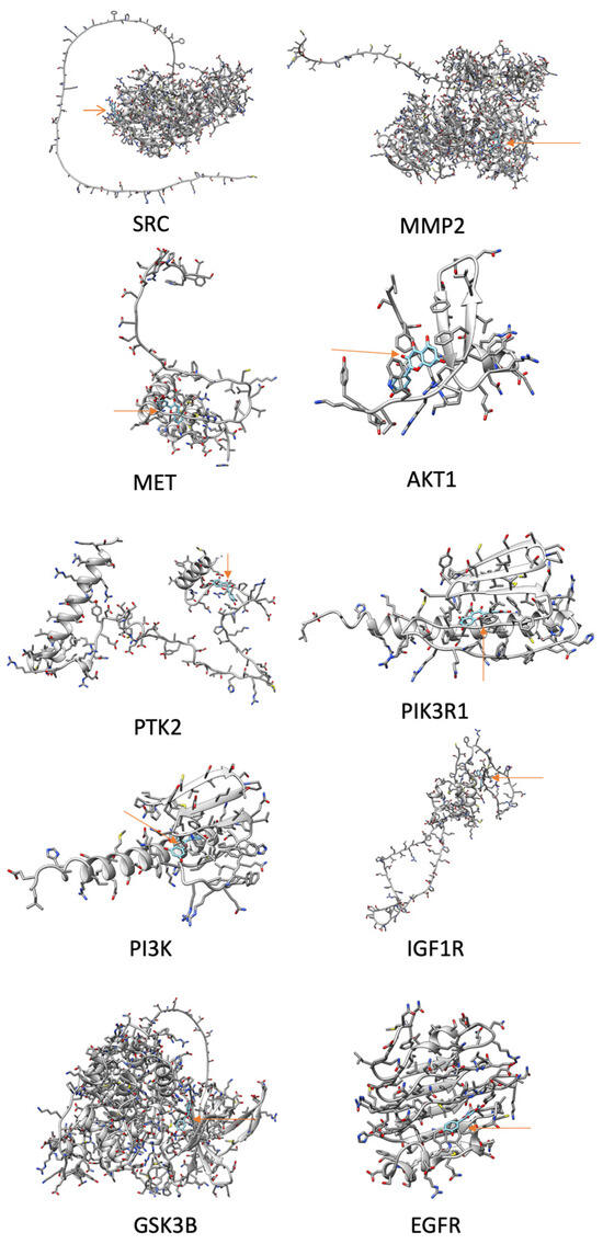 IJMS | Free Full-Text | A Bioinformatic Assay of Quercetin in Gastric ...