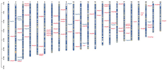IJMS | Free Full-Text | Genome-Wide Identification and Interaction ...